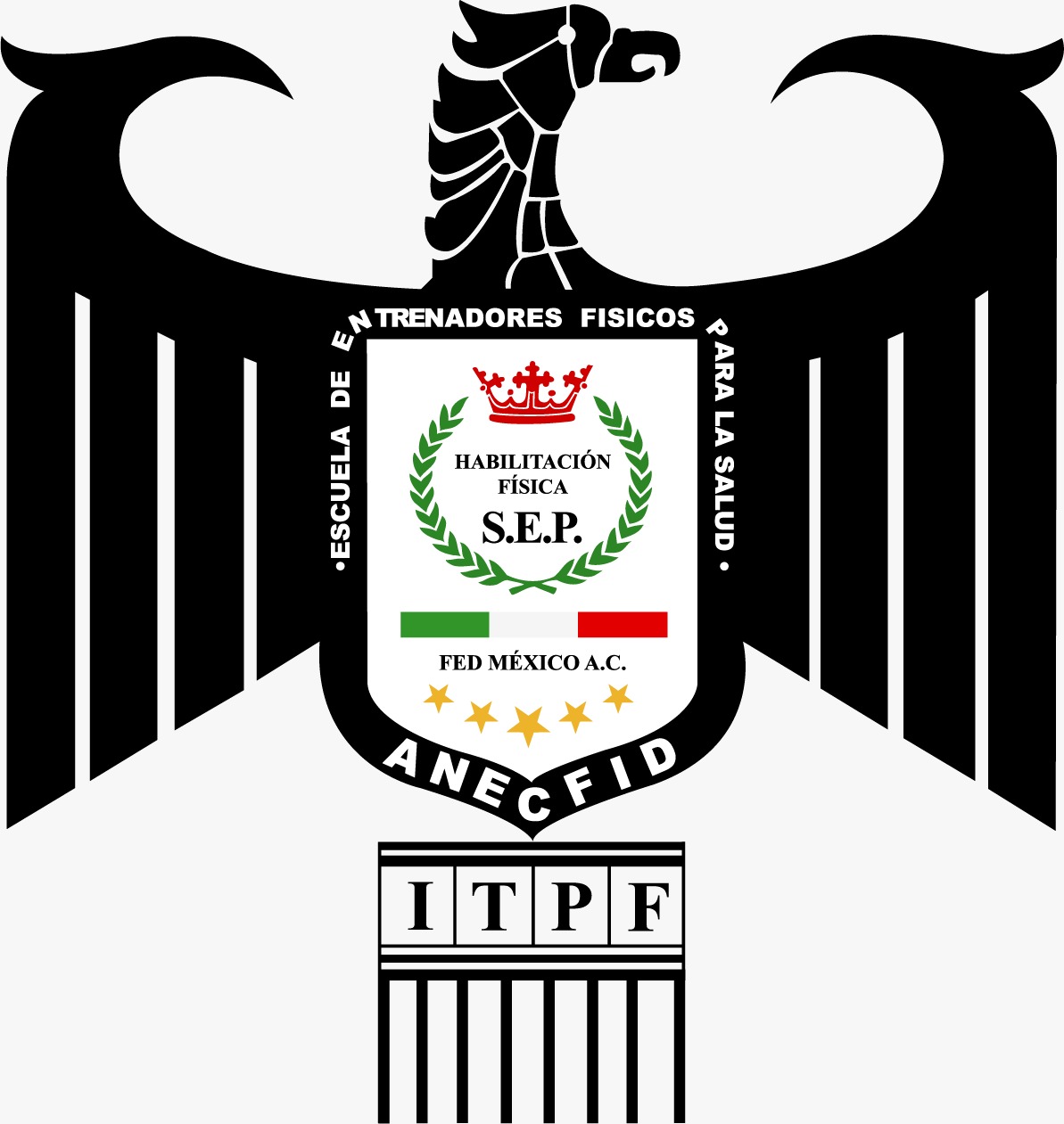 Curso Auxiliar en Enfermería – Centro De Formación Profesional ITZAMNA